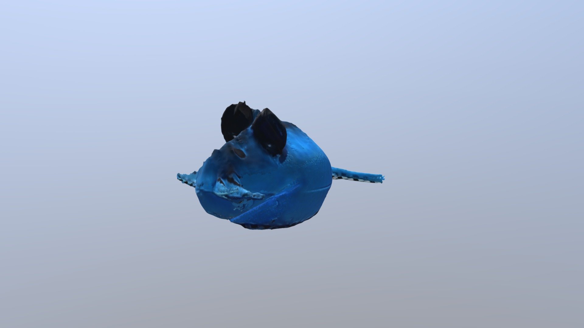 Blue Mouse - 3D model by Edgar.Guevara.Codina [5869345] - Sketchfab