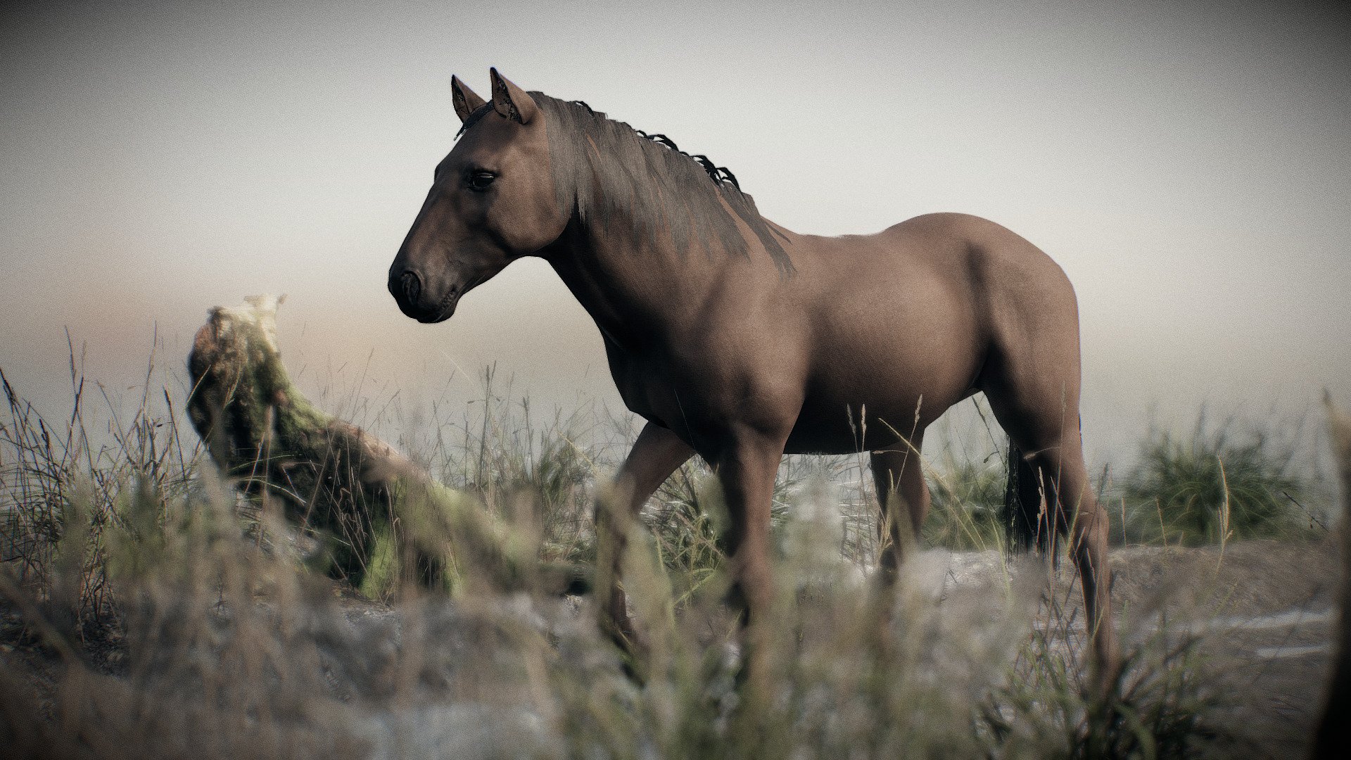 Horse Scene - 3D model by arloc [58731f7] - Sketchfab
