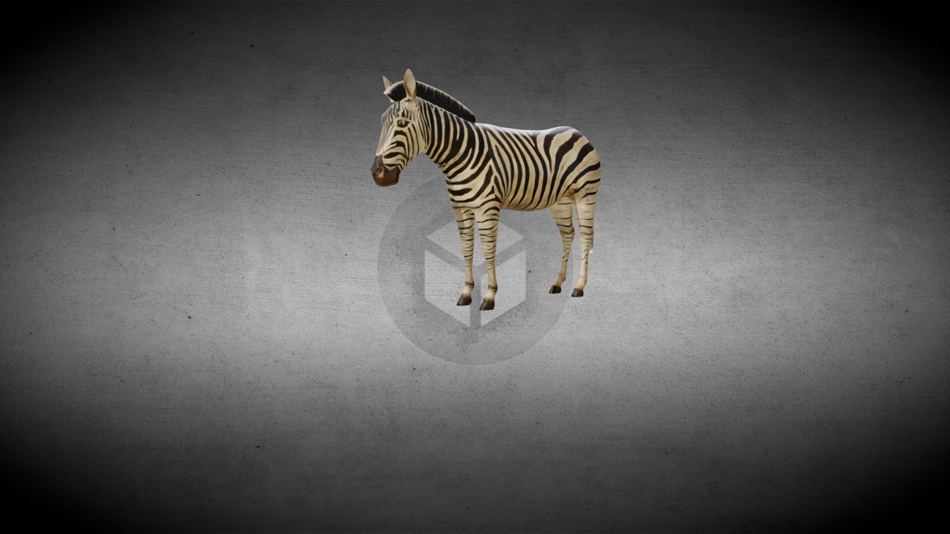 Zebra - 3D model by Vahe Simonyan (@vardges) [5874c66] - Sketchfab