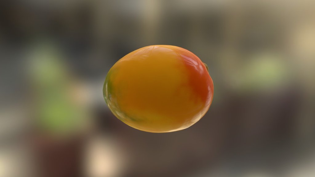 Mango - 3D model by alyssasicoli [58764da] - Sketchfab