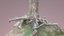 Gnarly Tree 3D Scan - Free download! - Download Free 3D model by Bart ...