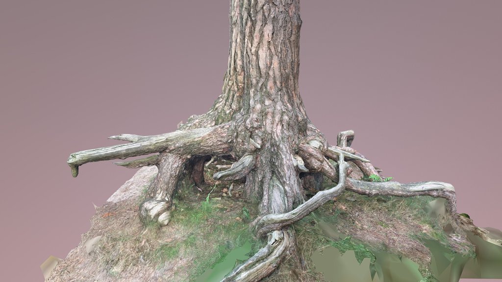 Tree - A 3D model collection by valeriandenis - Sketchfab
