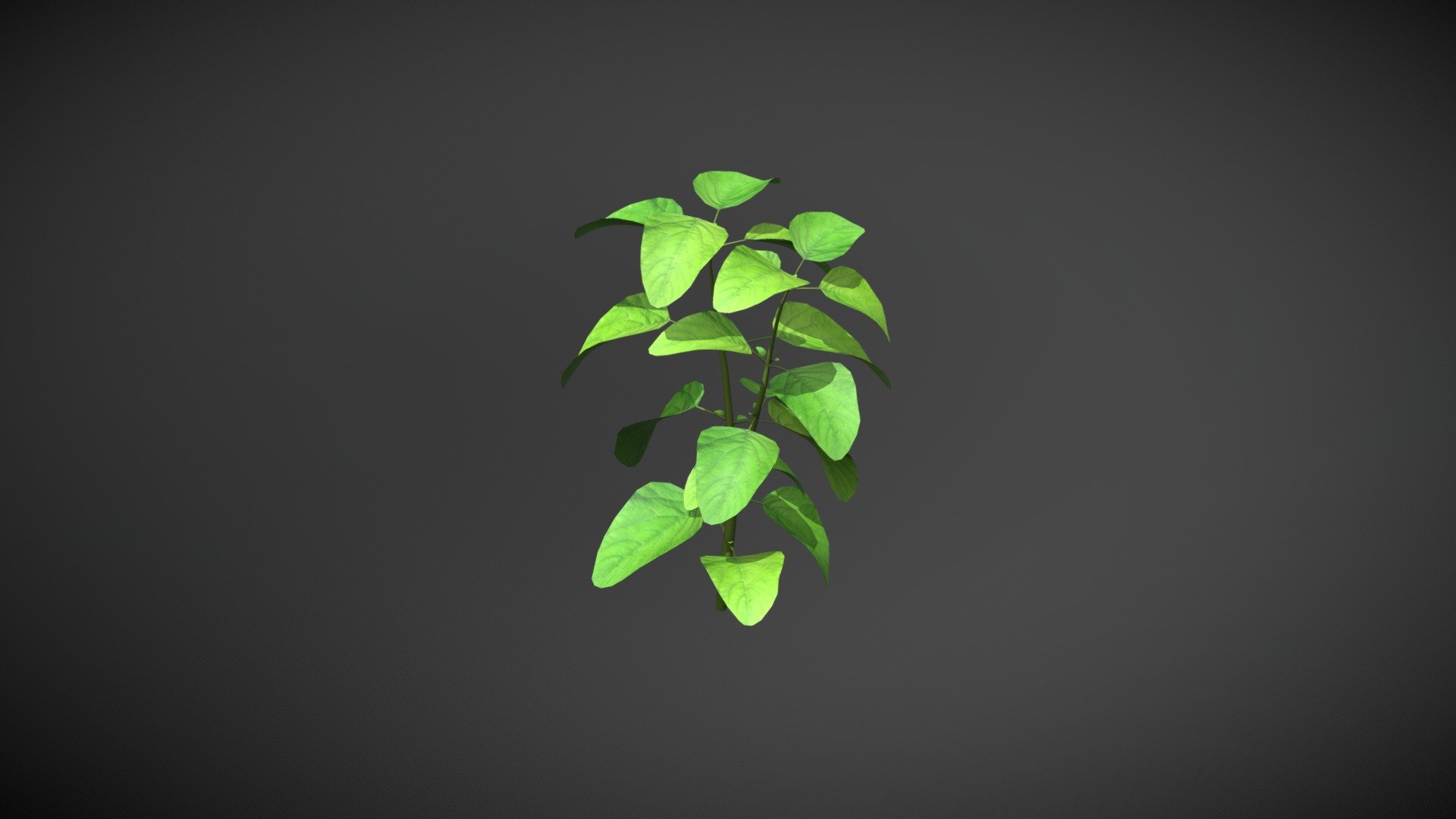 Amaranth3 - 3D model by vicvdovenko [5886e96] - Sketchfab
