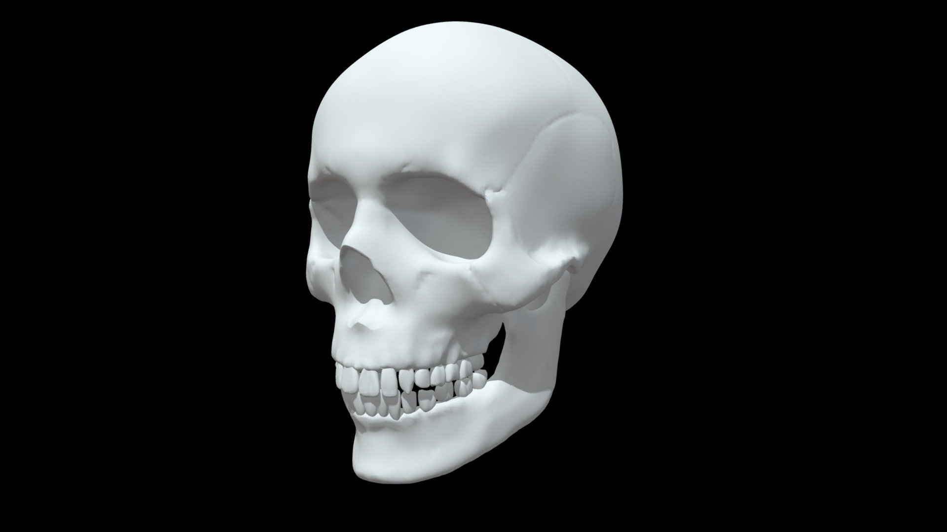 Skull_20260531 - Download Free 3D model by DOMMY0404 [5895941] - Sketchfab
