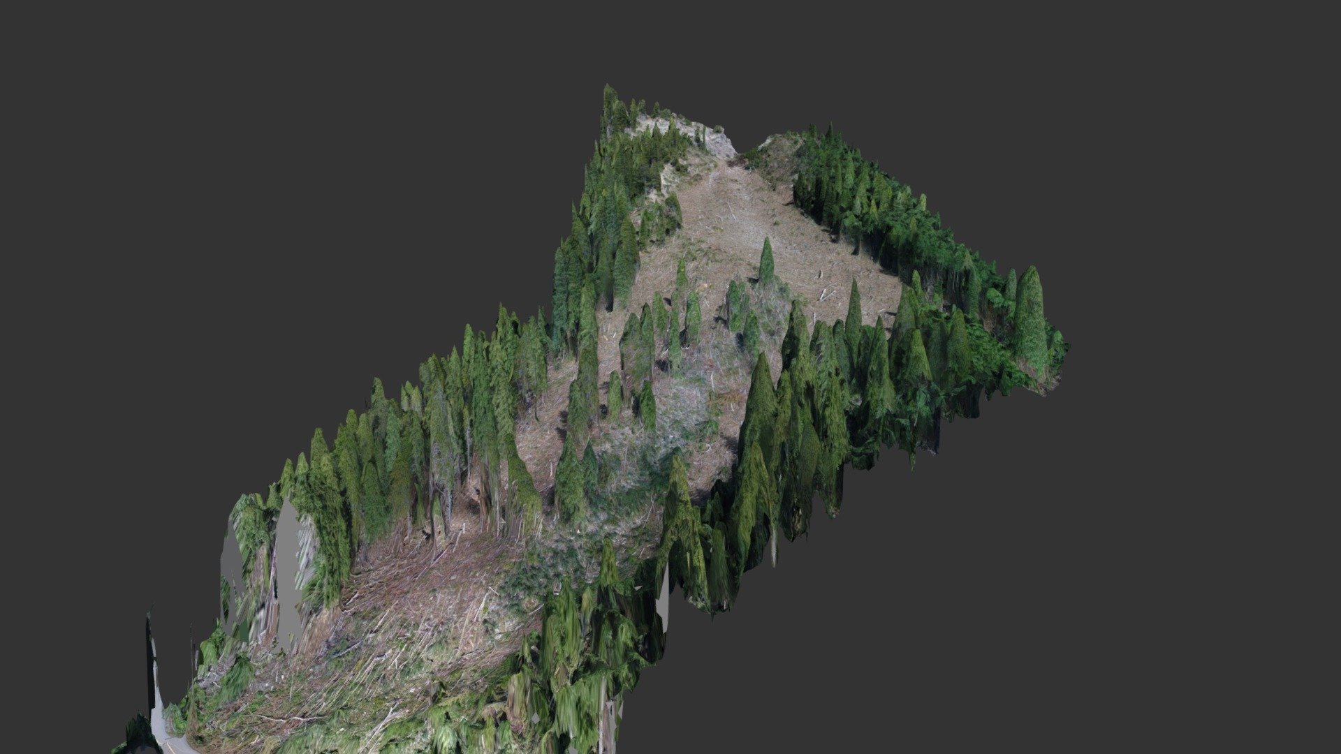 Tenmile Creek - Avalanche #1 - 3D model by EASE Drones (@easedrones ...