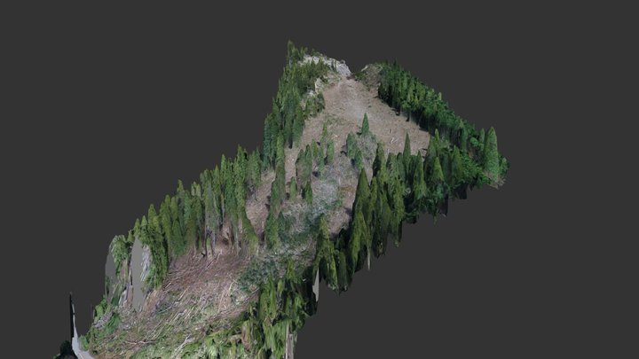 Avalanche 3D models - Sketchfab