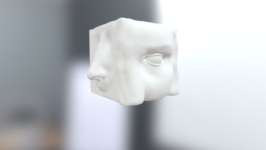 Facial features study - 3D model by declanmcdermott97 [589f1cb] - Sketchfab