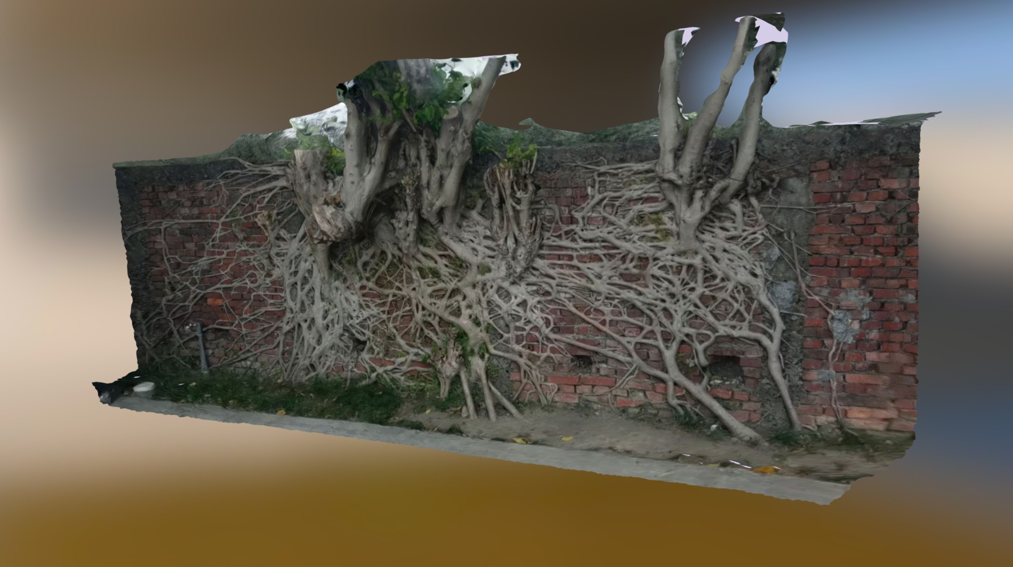 20170218 Old Tree Root On The Wall - 3D model by mike210tw [58a9782 ...