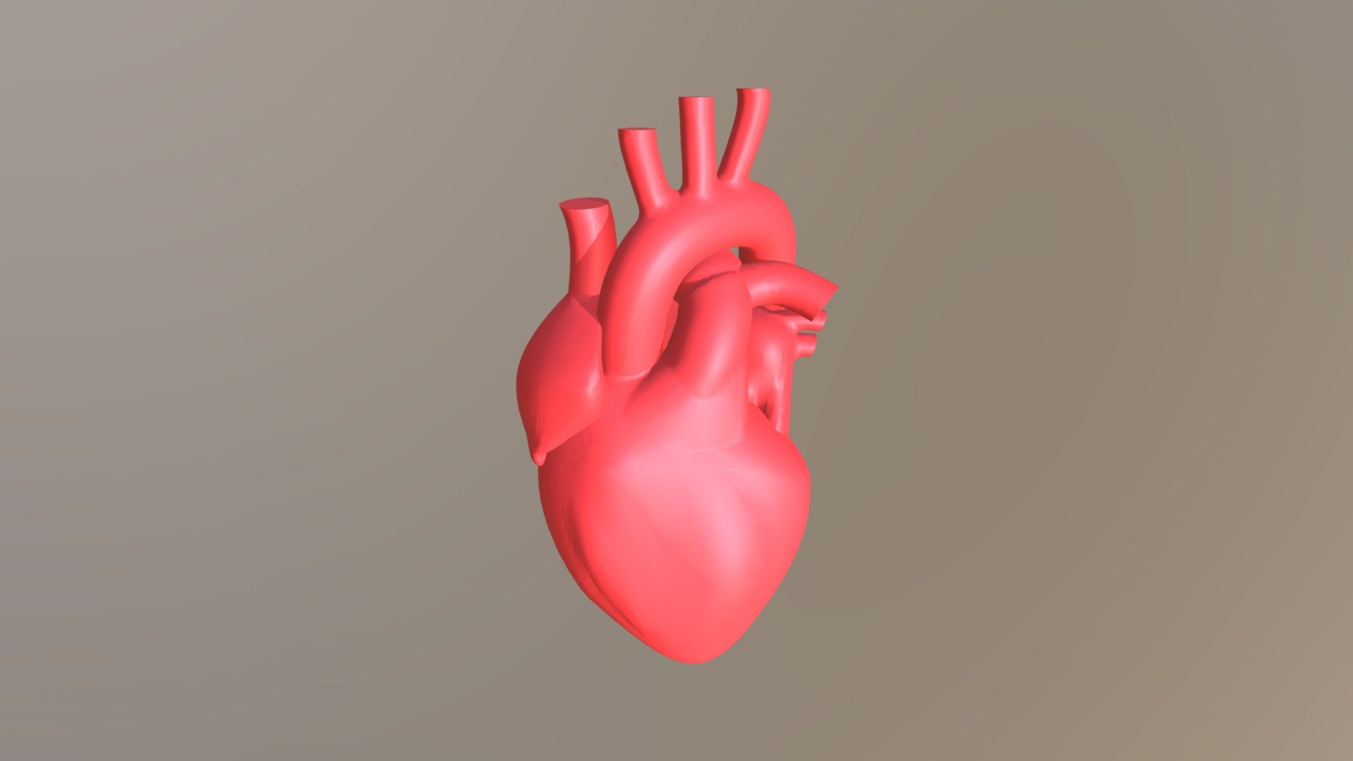 Human Heart Free 3d Model Open3dModel, 45% OFF