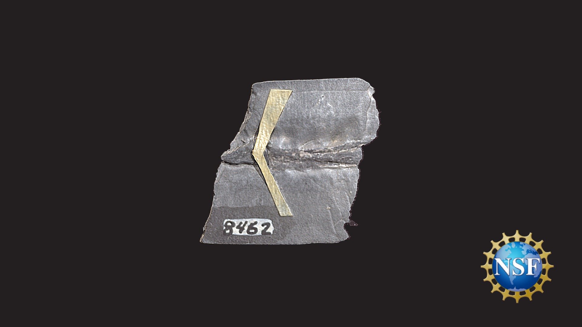 CMNH 8462 Micro Arthrodire Infragnathal Matrix - 3D model by Cleveland ...