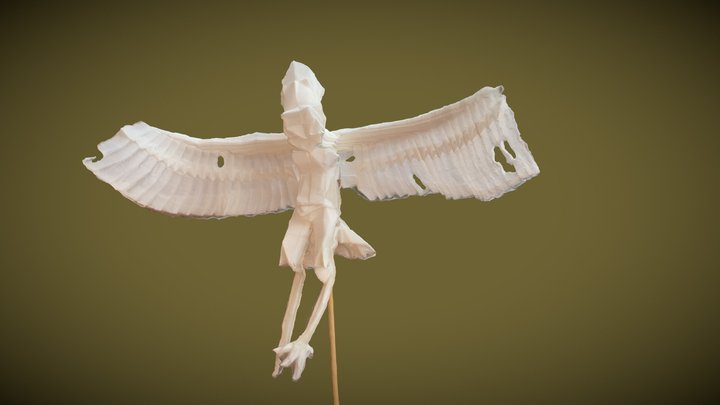 Origami 3D models - Sketchfab