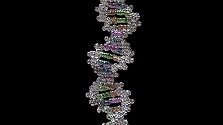 Dna 3D models - Sketchfab