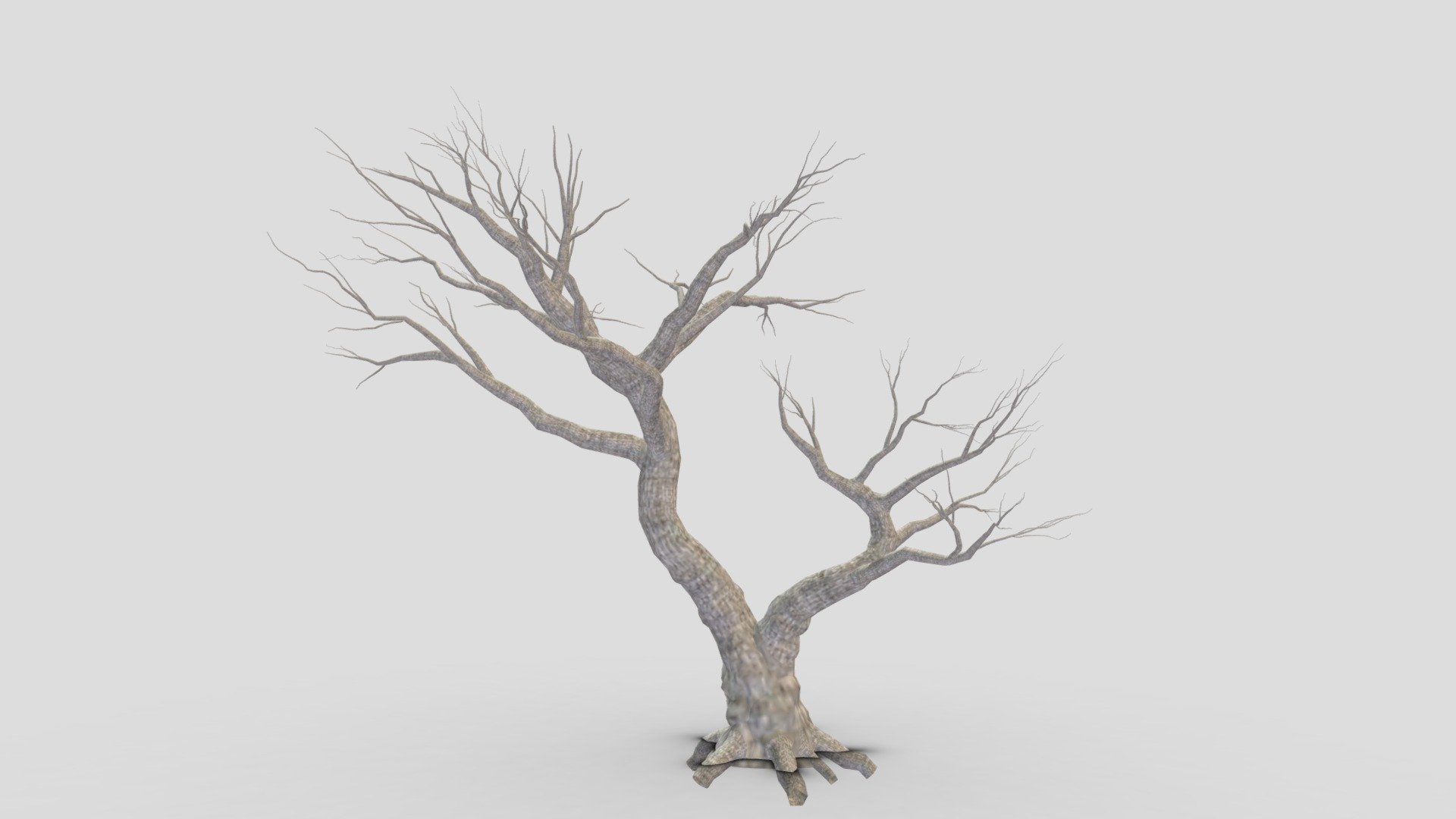 Lisa Tree-01 - Buy Royalty Free 3D model by ASMA3D [58c87f8 ...