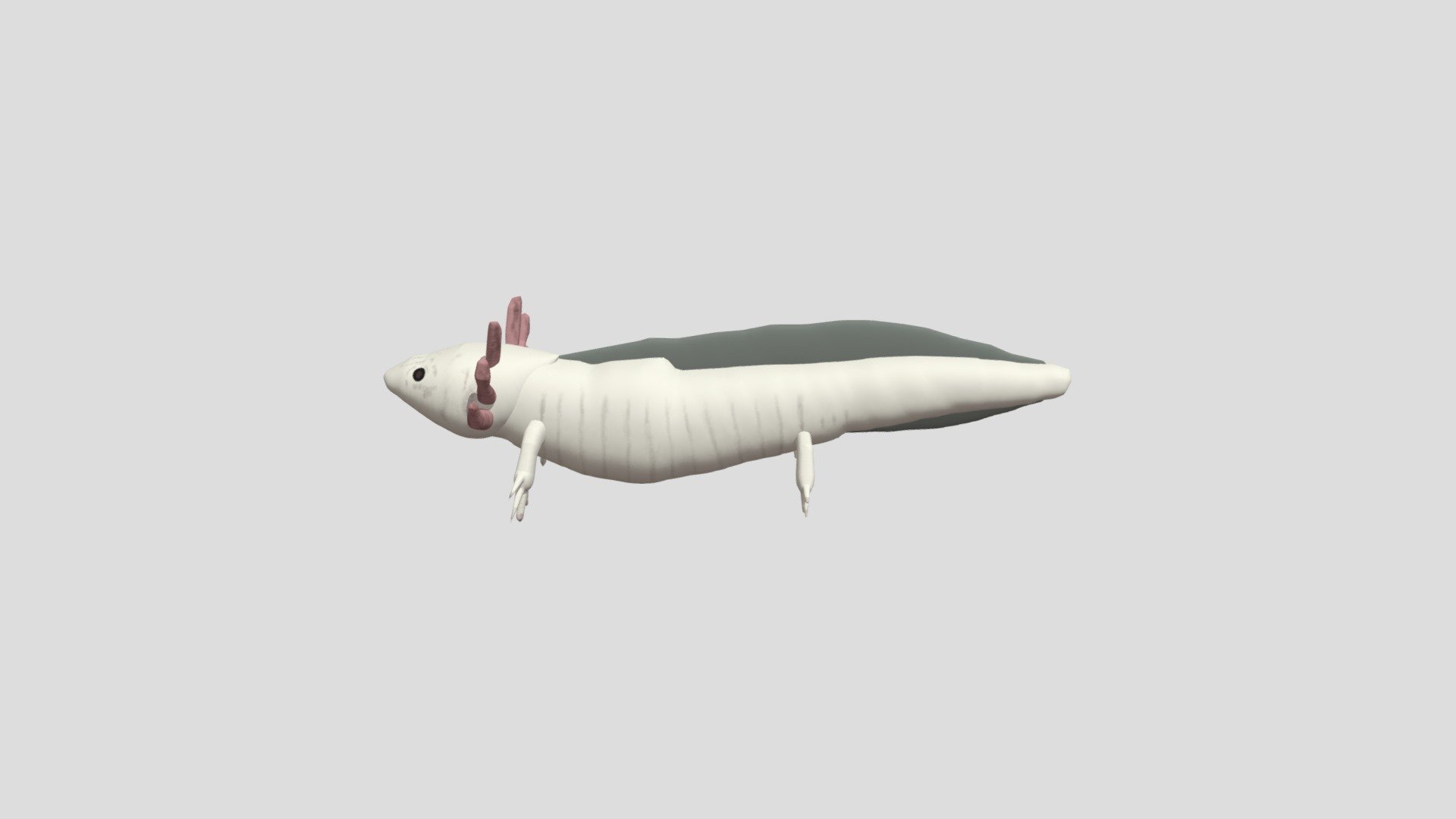 Axol - Download Free 3D model by marcusmachine [58cb581] - Sketchfab
