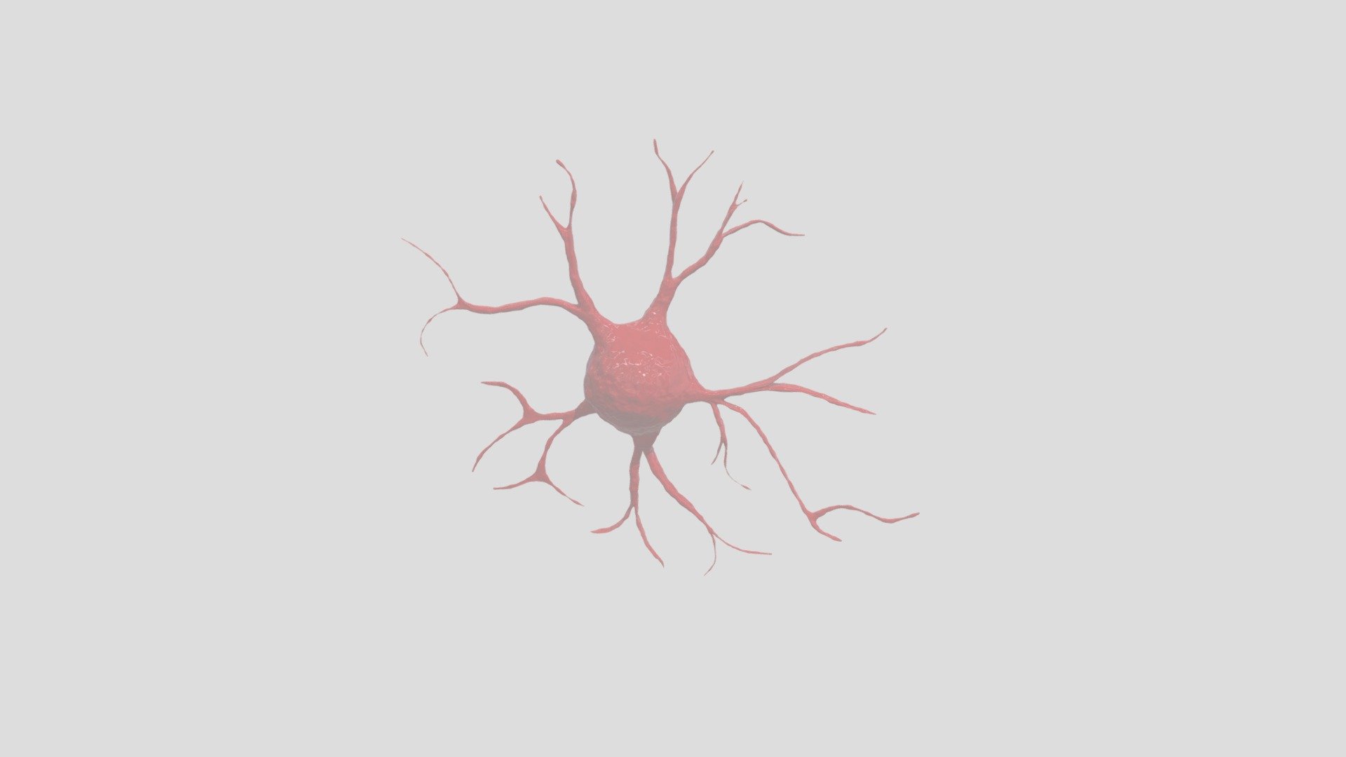 Astrocyte or Astroglia - 3D model by ouaidat81 [58ceb58] - Sketchfab