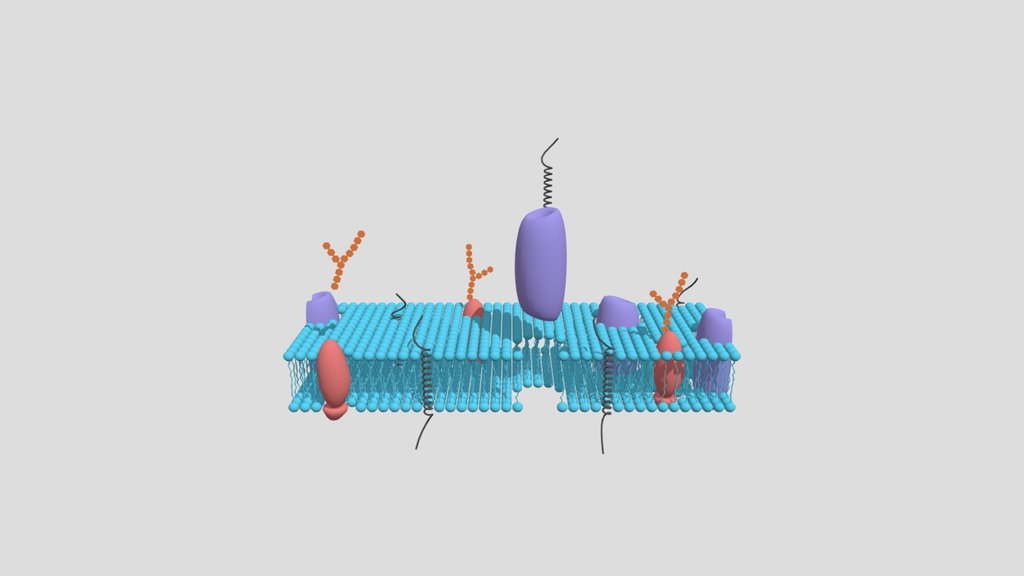 Biology - A 3D model collection by maksimtarasov560 - Sketchfab