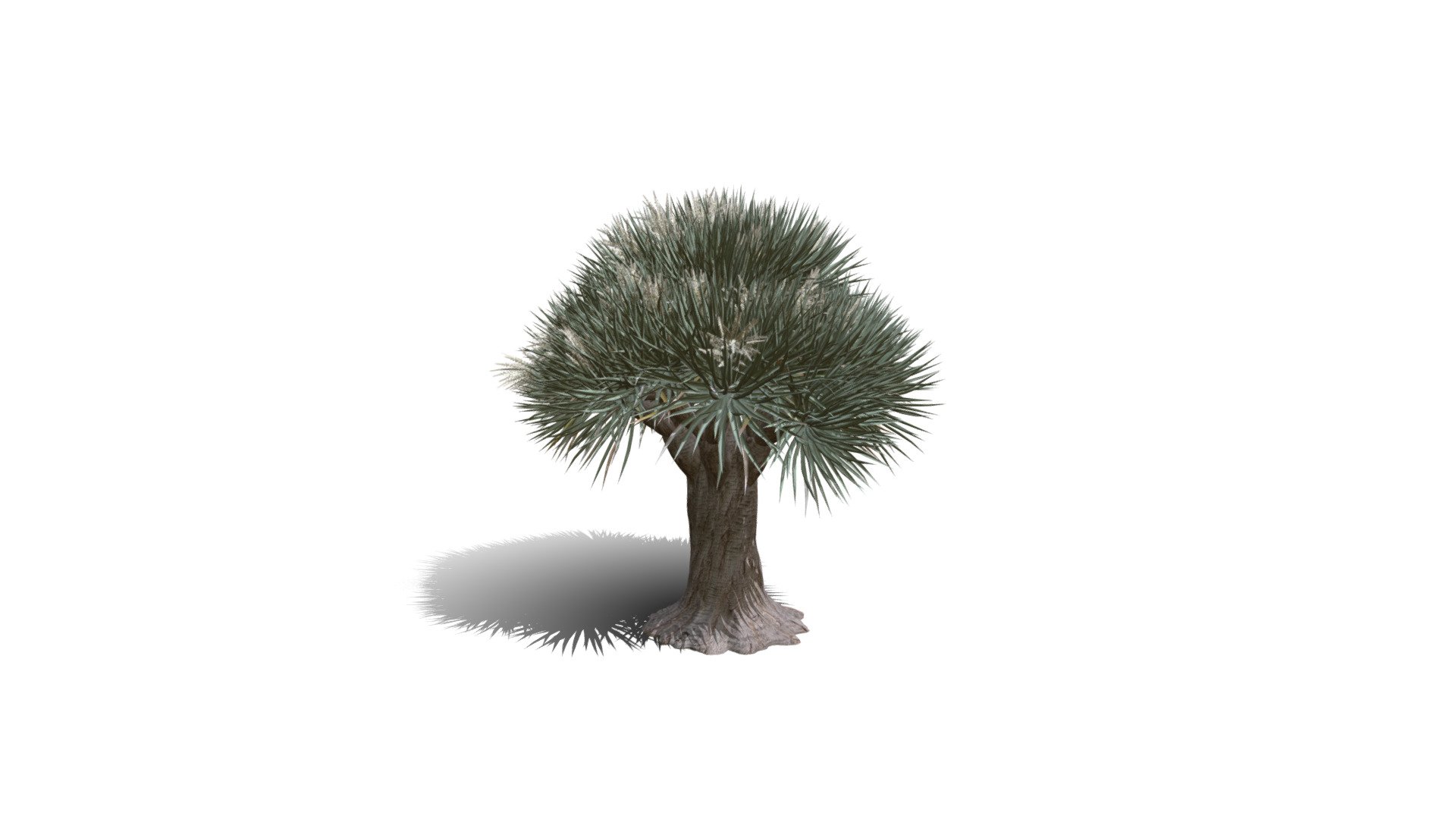 Realistic HD Dragon tree (9/50) - Download Free 3D model by ...