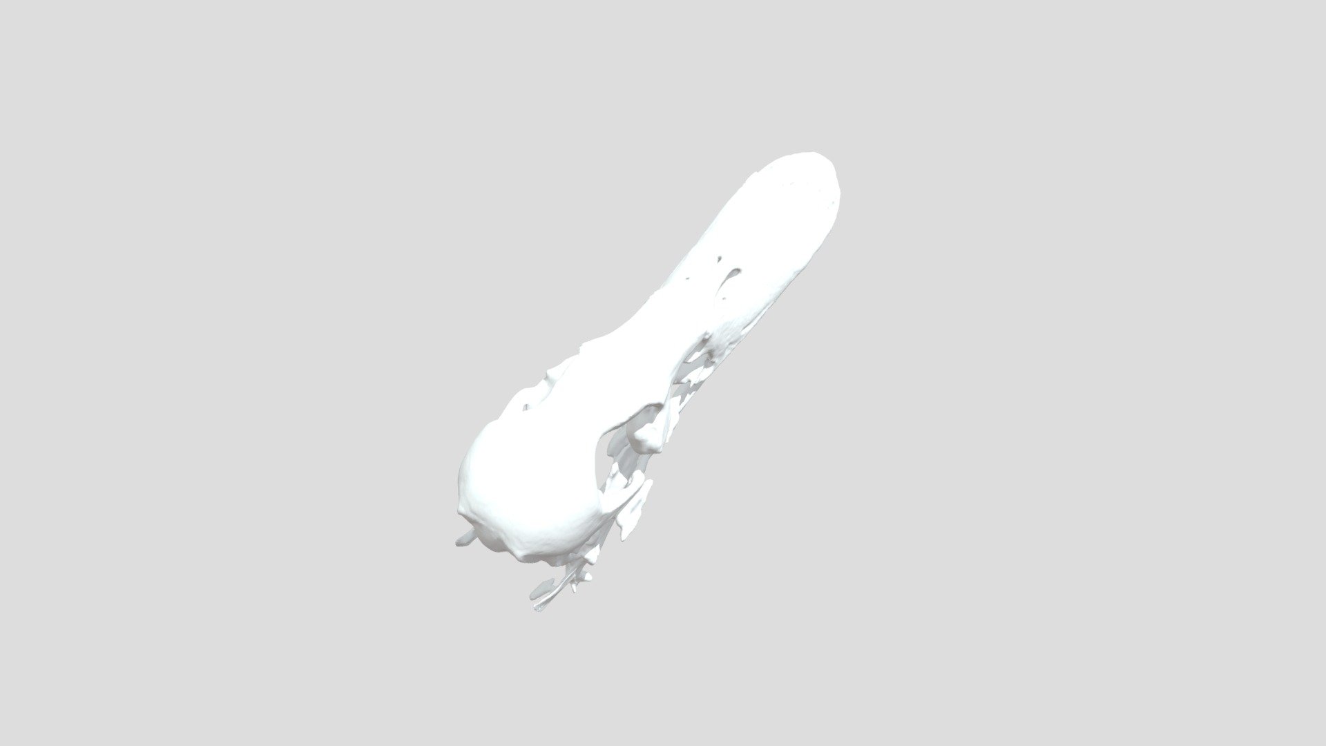 Duck Skull - Download Free 3D model by lutaylor [58d518b] - Sketchfab