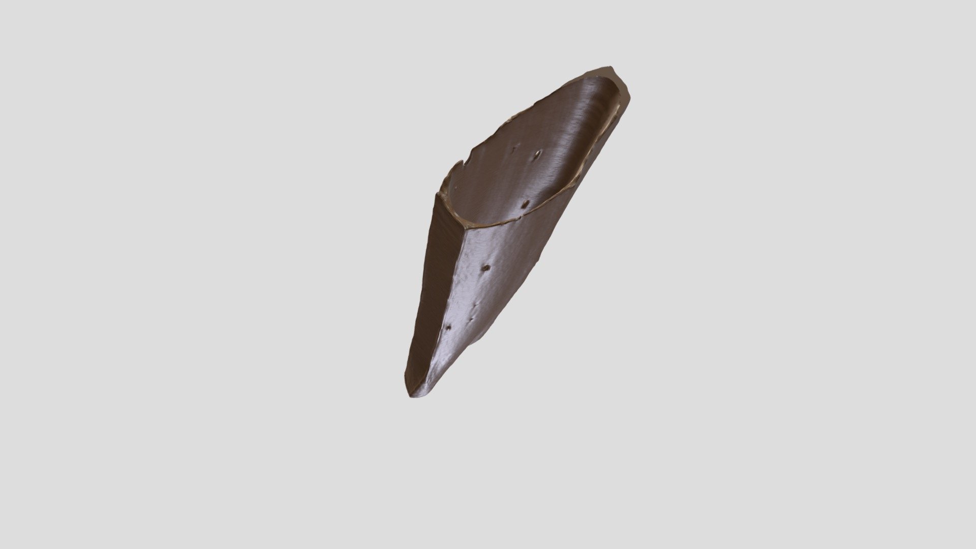 Douglas fir-2-single-tracheid - 3D model by helen.gorges [58d57fb ...
