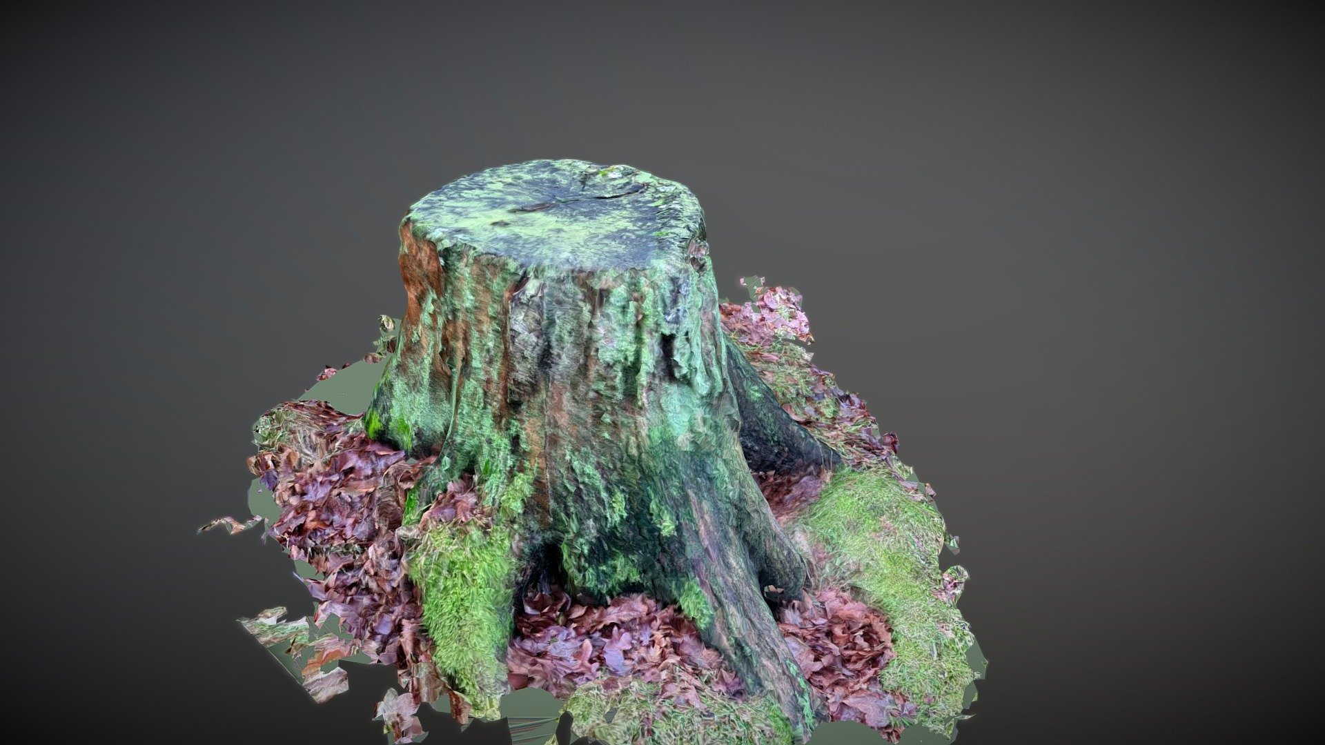 3D scanned tree stump - Download Free 3D model by Hullken [58d6176 ...