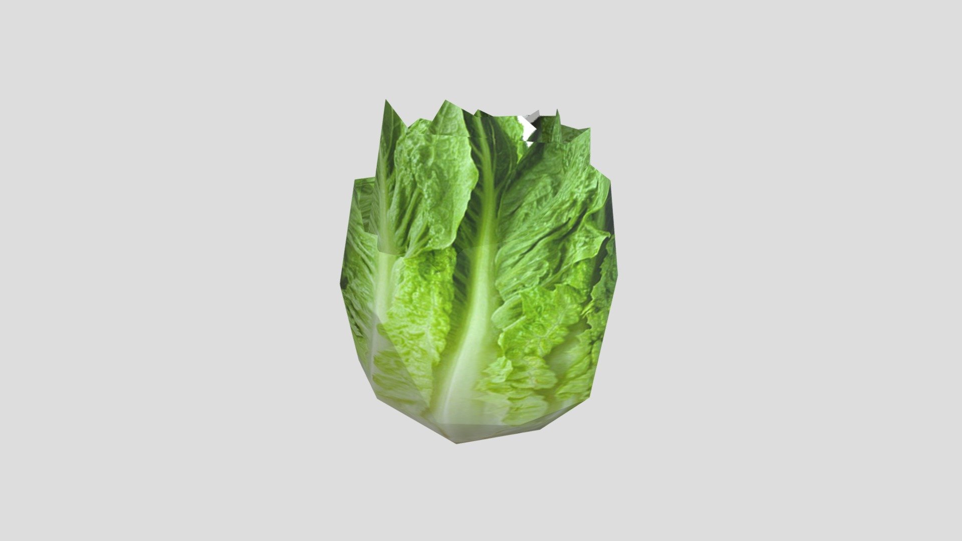 Lettuce01 - Download Free 3D model by keoni1 [58e8743] - Sketchfab