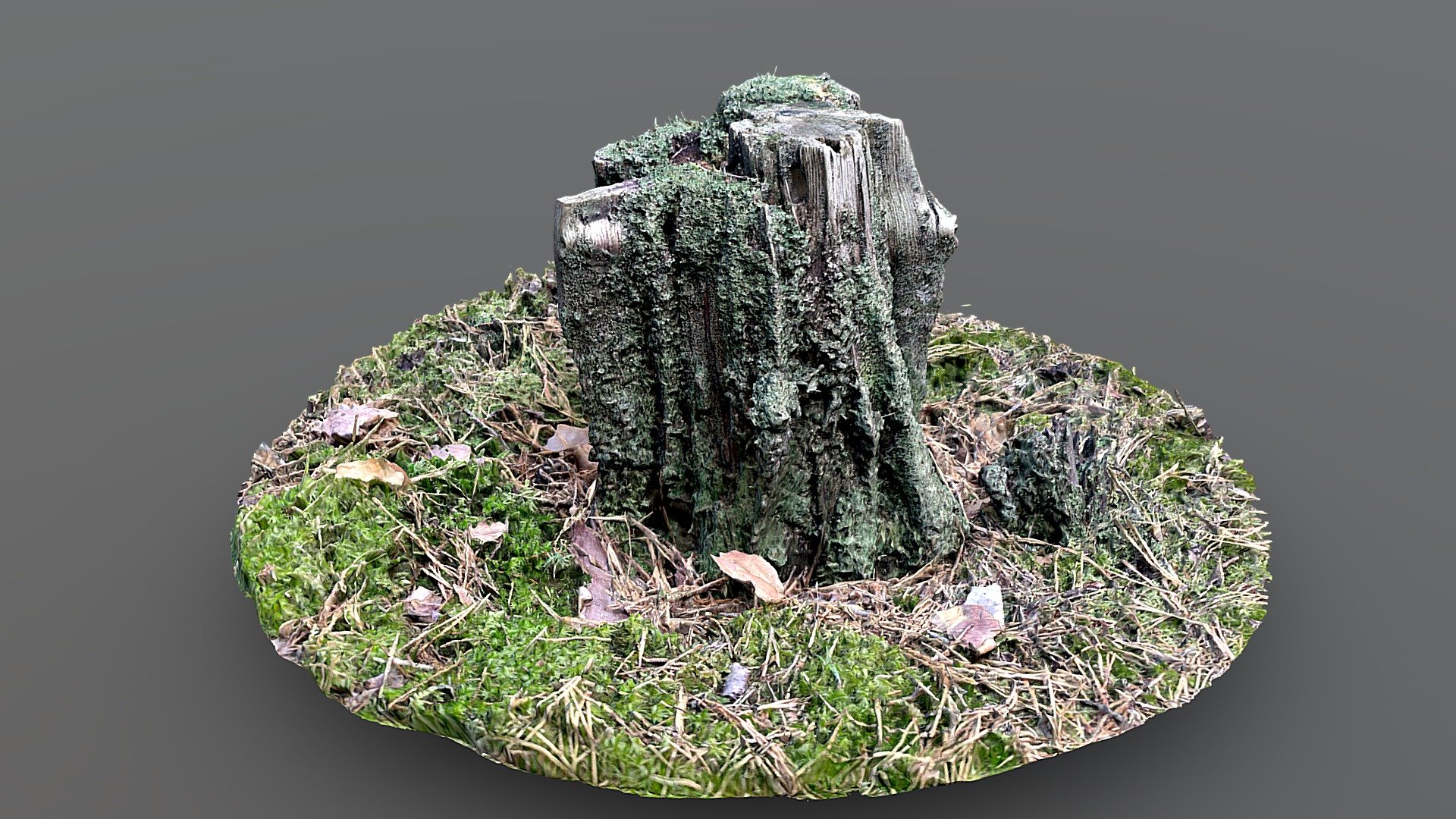 Old Rotted Tree Stump with Moss - Download Free 3D model by Jonas ...