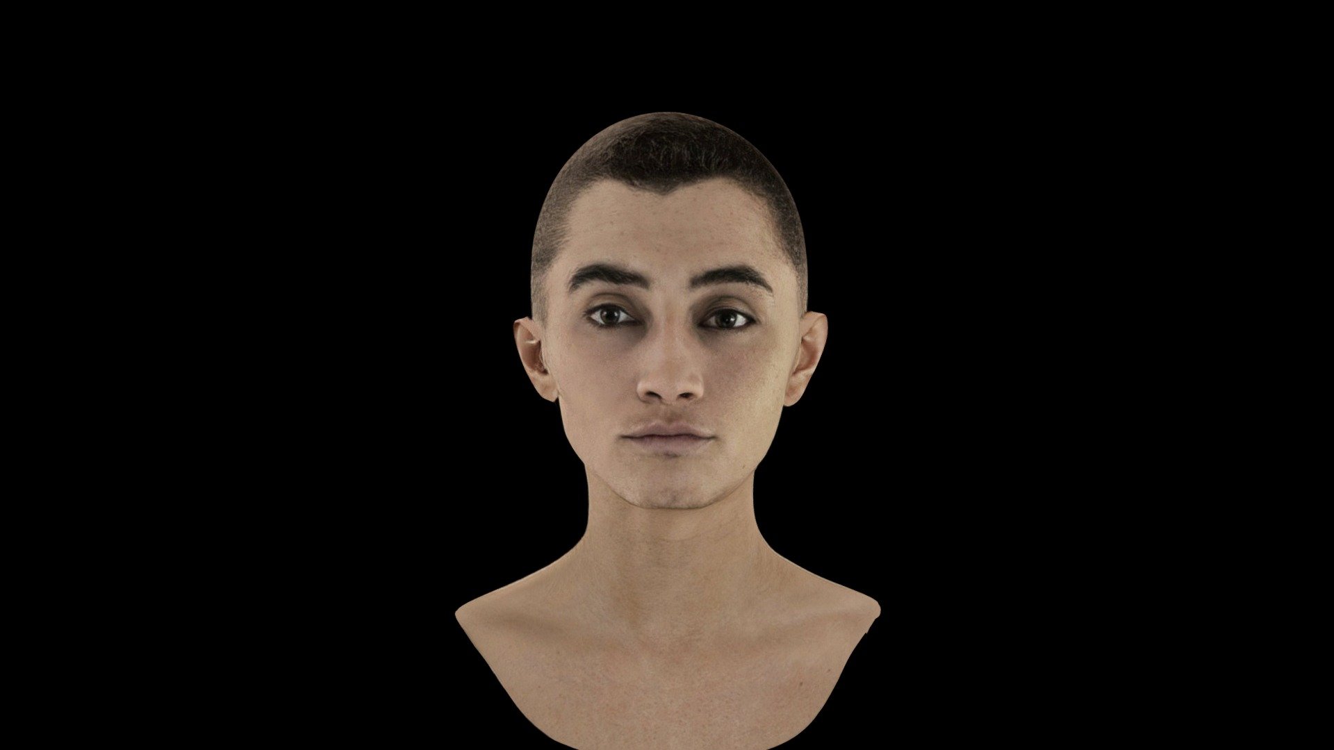 Human Dignity Collection | www.acuteline.com - Download Free 3D model ...