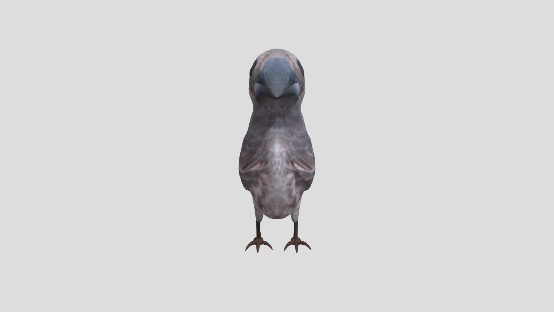 Pajaro2 - Download Free 3D model by marioc5198 [590a030] - Sketchfab