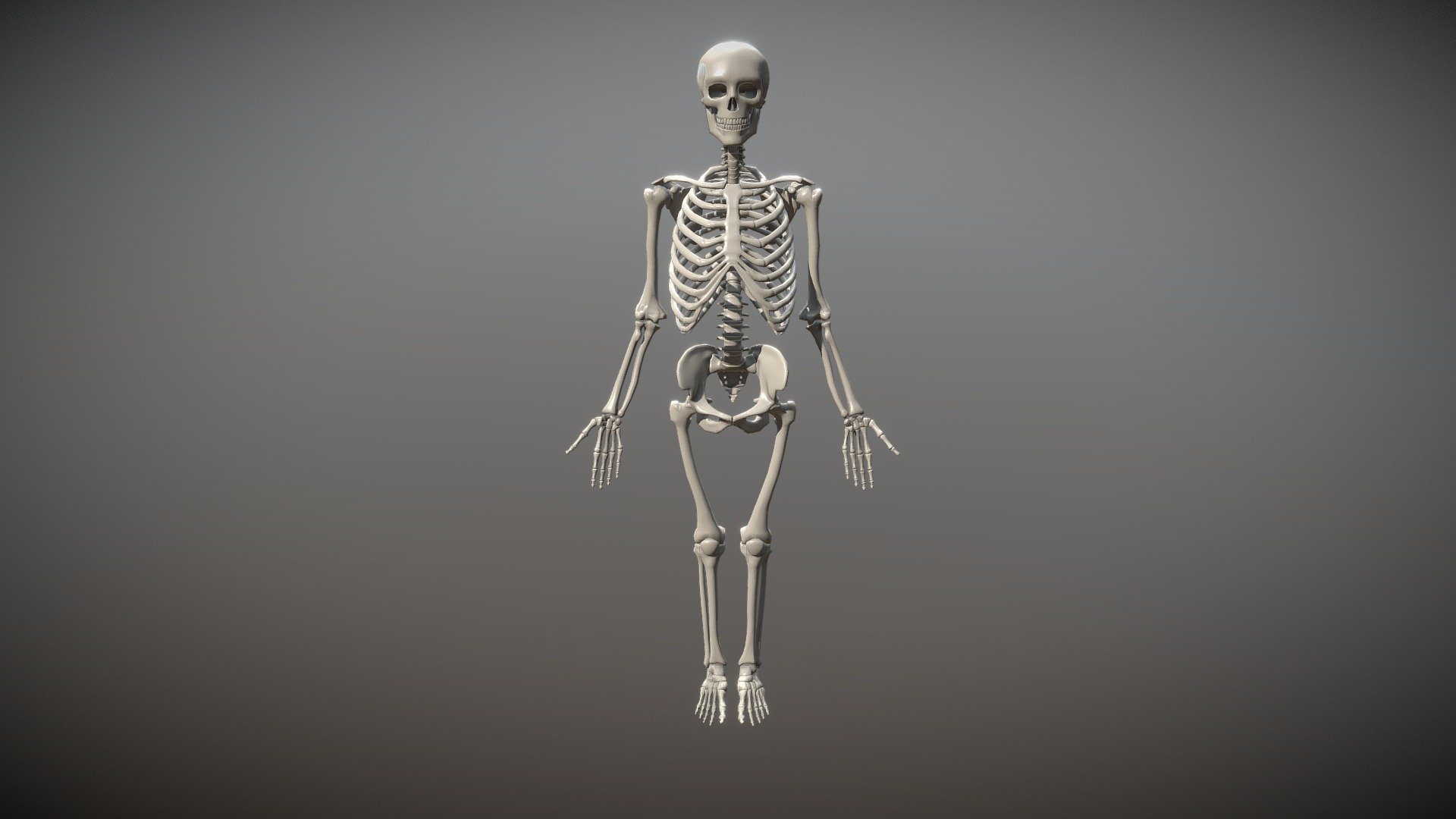 Skeleton - Buy Royalty Free 3D model by Cratera Games (@pedrofirmino1 ...