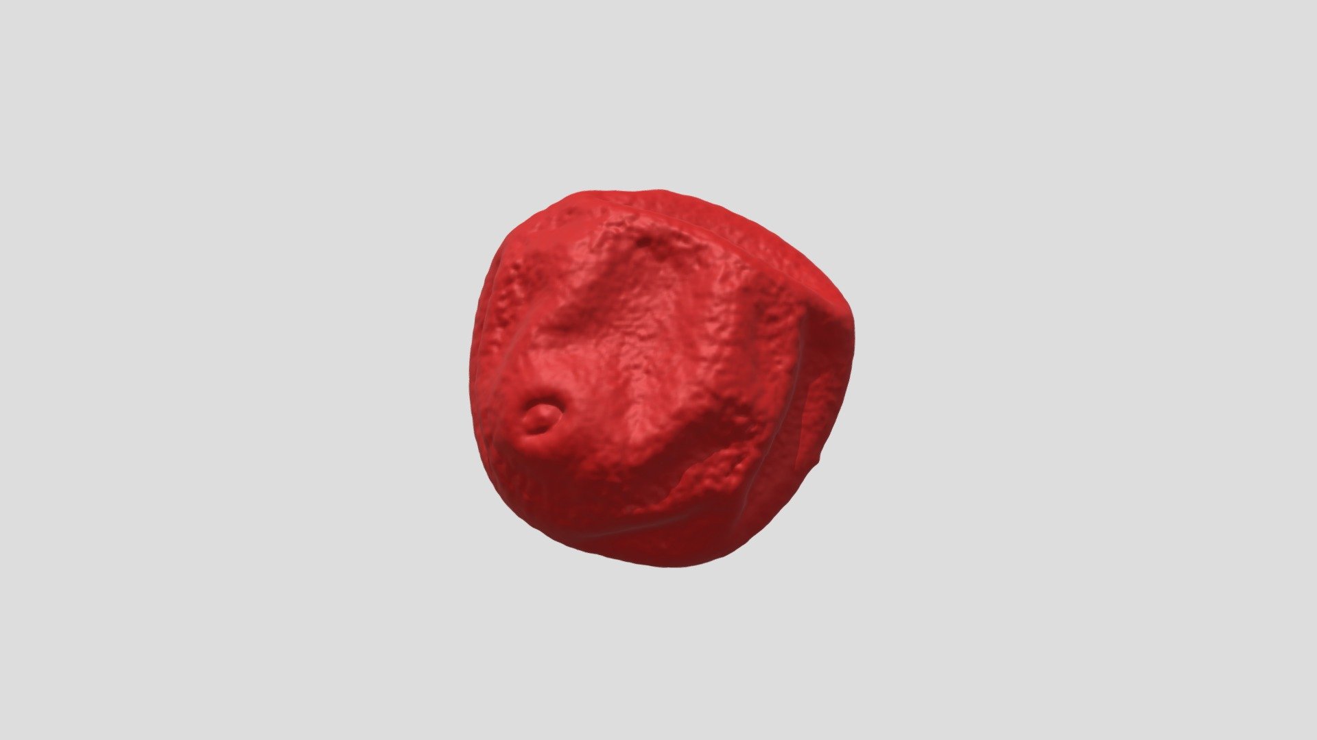 Common nettle (Urtica dioica) pollen grain - 3D model by Cardiff ...