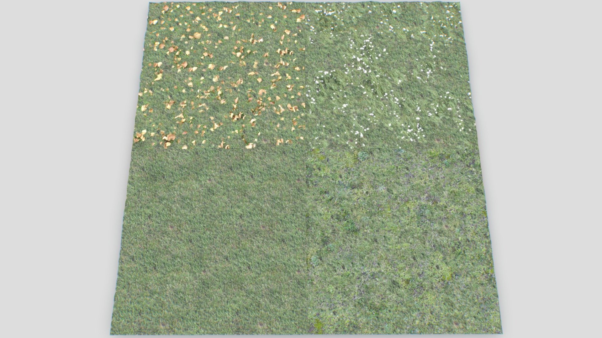 Grass Field Textures - Buy Royalty Free 3D model by 32cm [592d8b2 ...