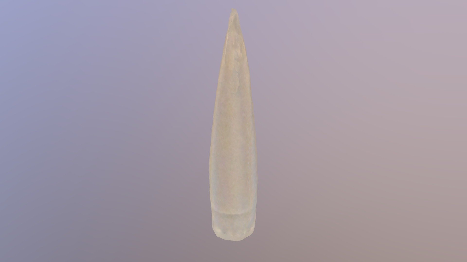 Nose cone - 3D model by amy_lindahl [593031f] - Sketchfab