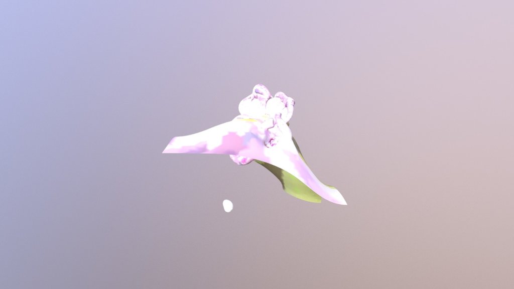 Nootka Rose May 25-2017 Scan_08 MeshLabModel - 3D model by KathFusion3D ...