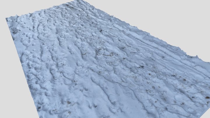 Footprint 3D models - Sketchfab
