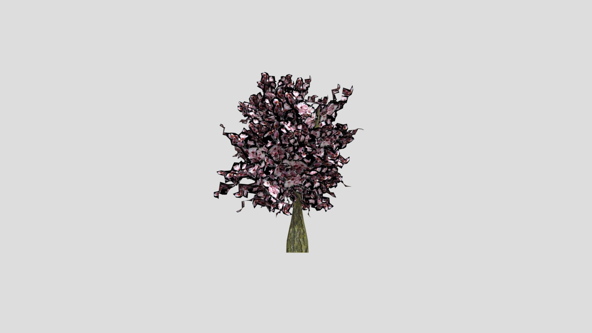 Sakura Tree - 3D model by KiriyaNico [5940e89] - Sketchfab