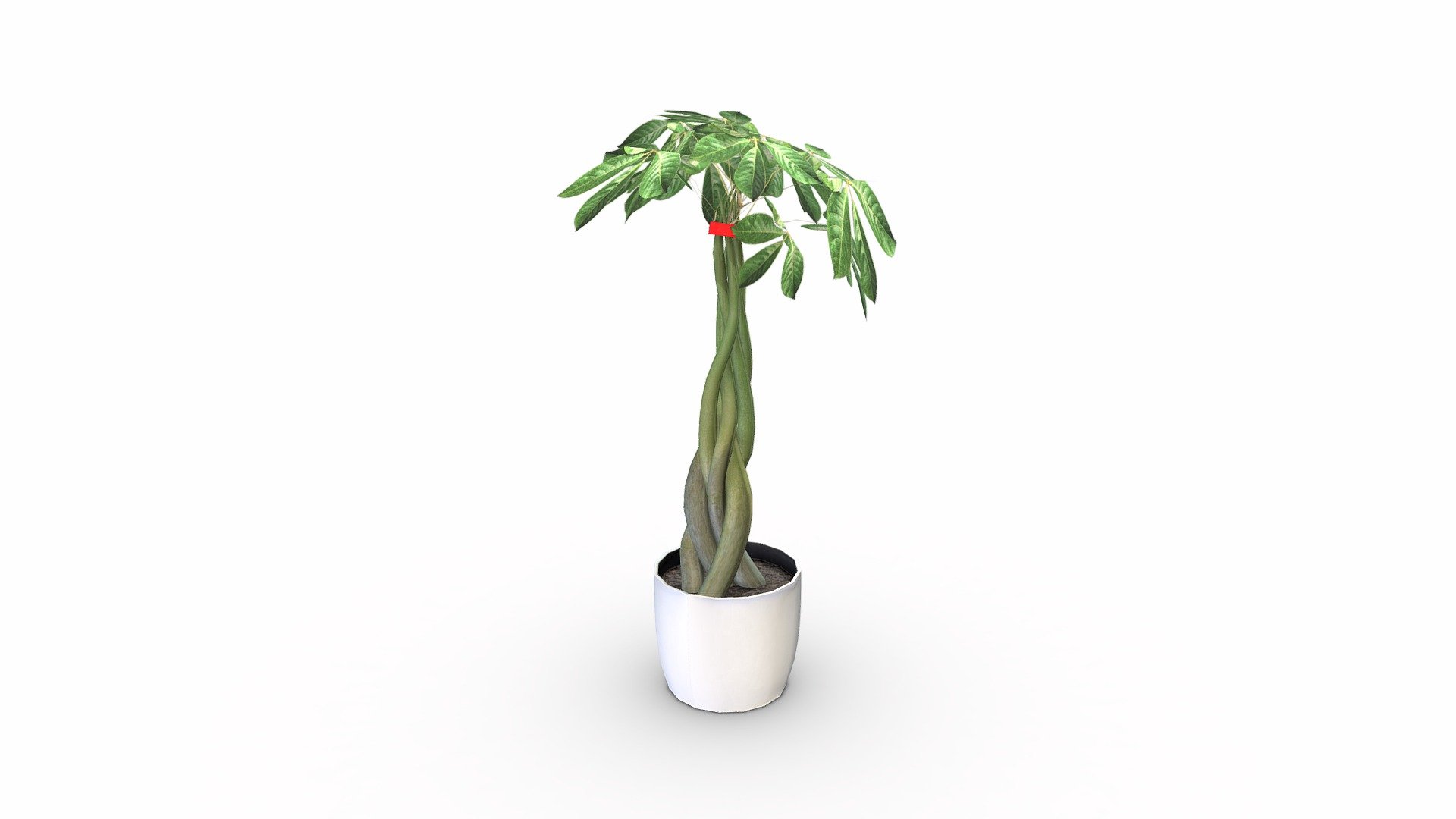 Money Tree - Buy Royalty Free 3D model by 3dia [5941f4f] - Sketchfab Store