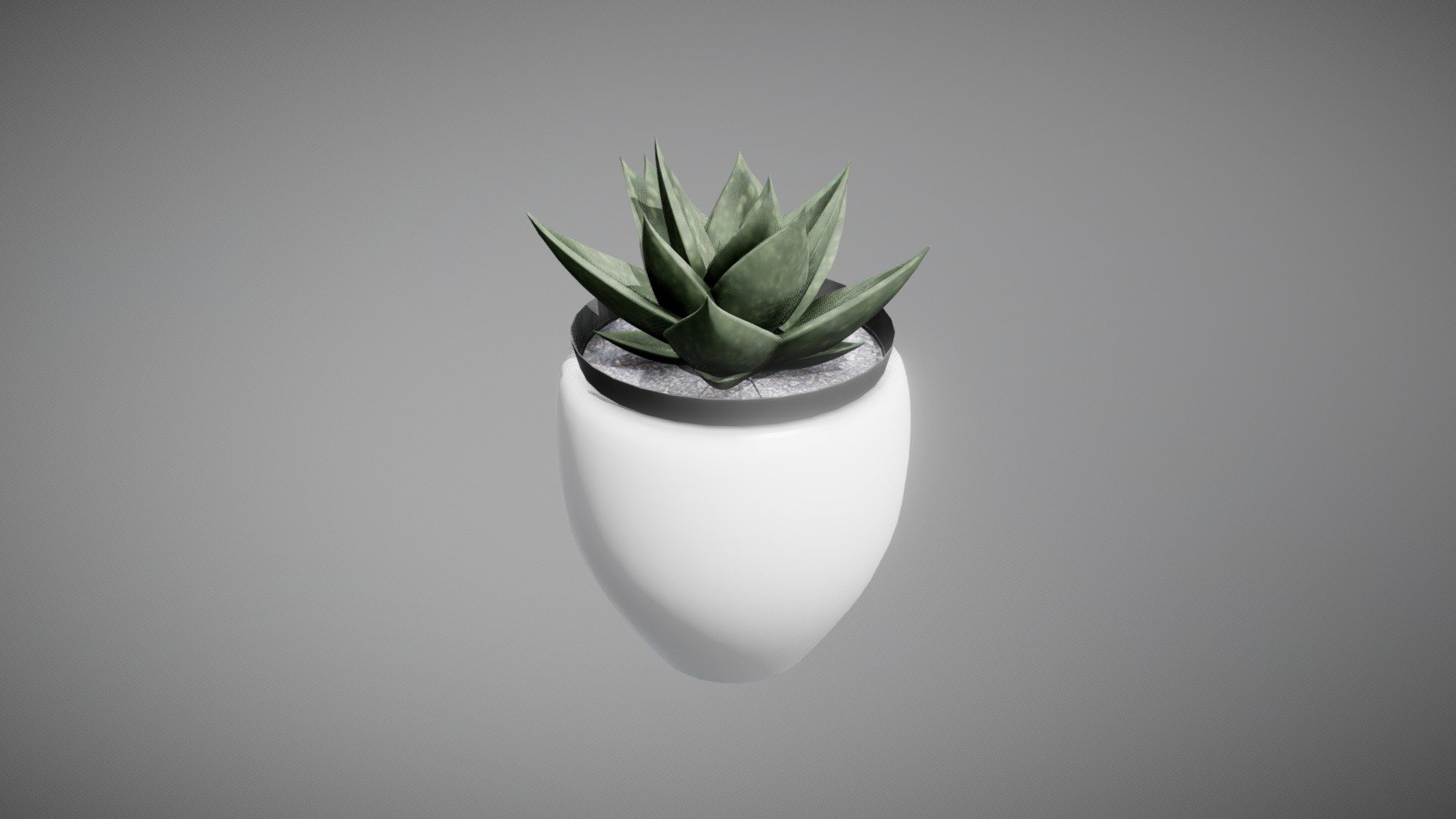 Succulent Pot Plant - 3D model by Growmotion3d [5942592] - Sketchfab