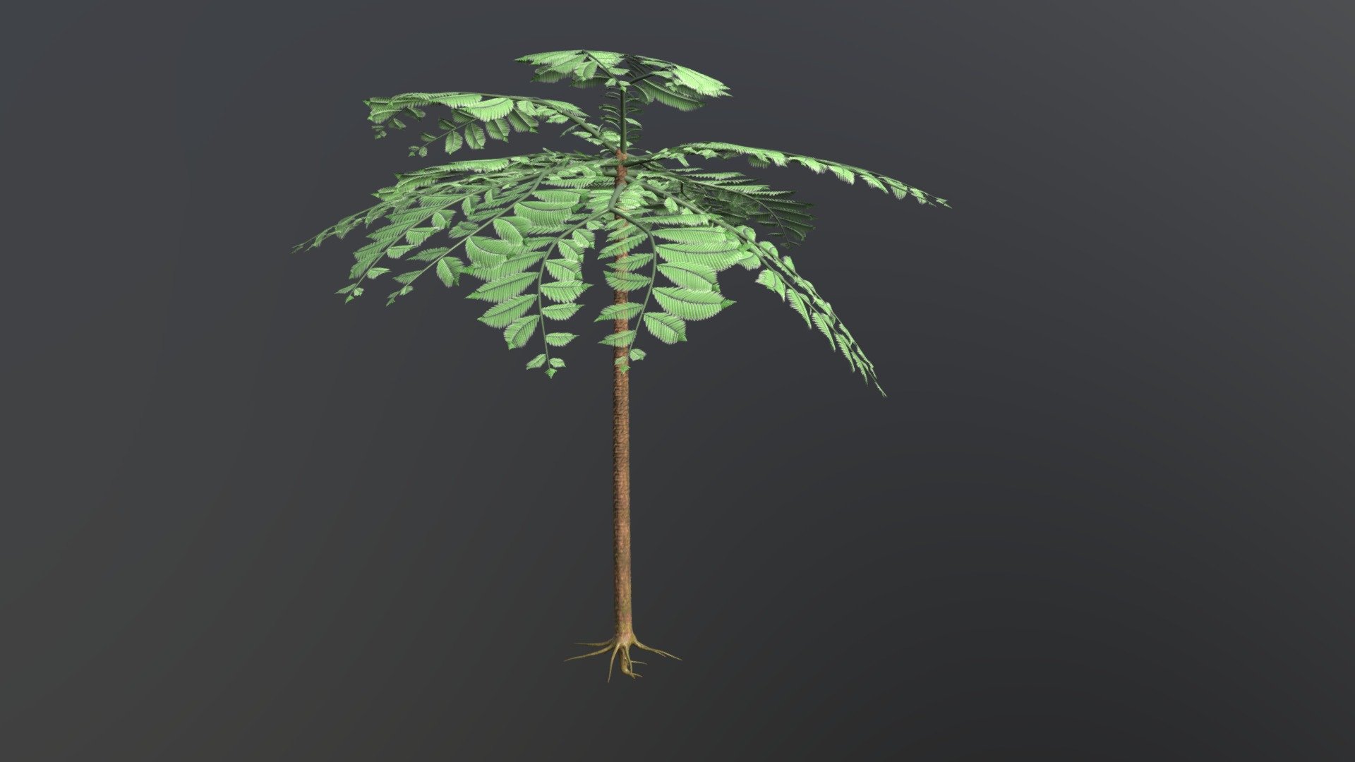 Medullosa Stellata trunk - 3D model by anthodon [594762c] - Sketchfab