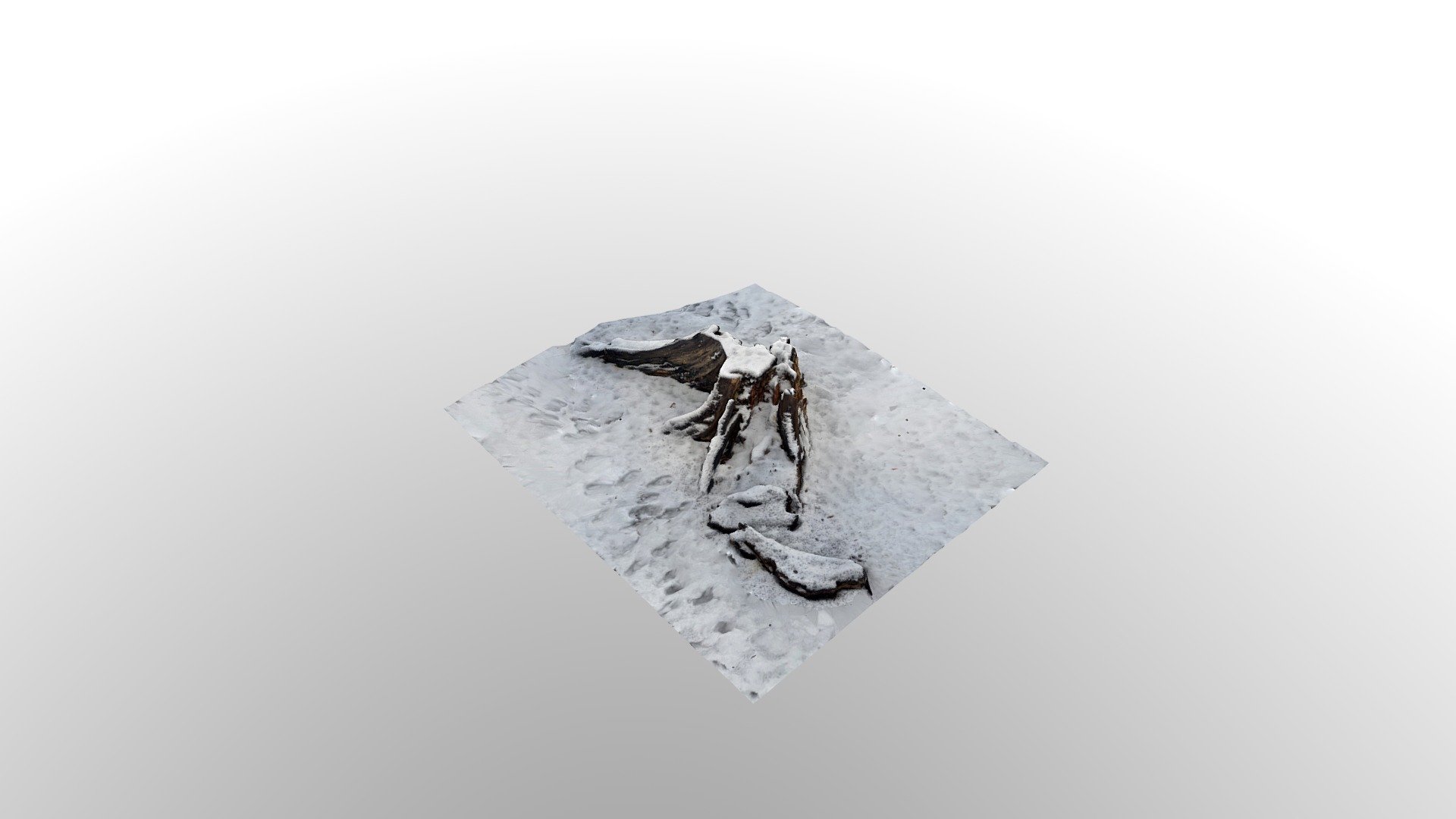 Stockholm tree - Download Free 3D model by Leam (@leamlld) [59551b4 ...
