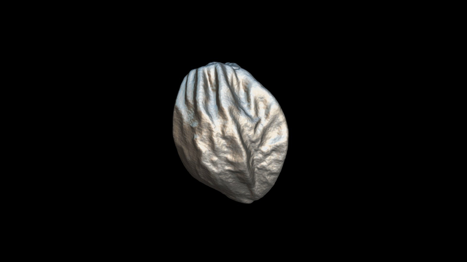 FRUCTUS CANNABIS - Download Free 3D model by Thunk3D 3D Scanner (@Lily ...