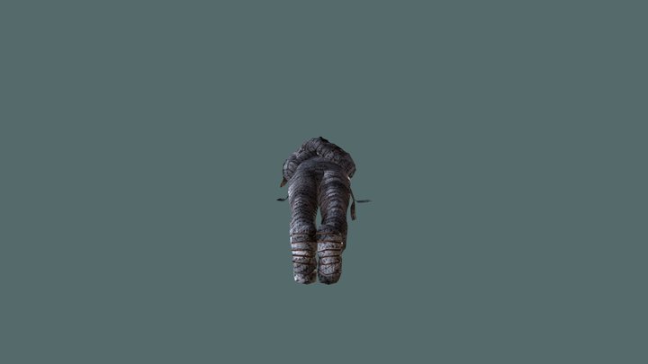 Cadaver 3D models - Sketchfab