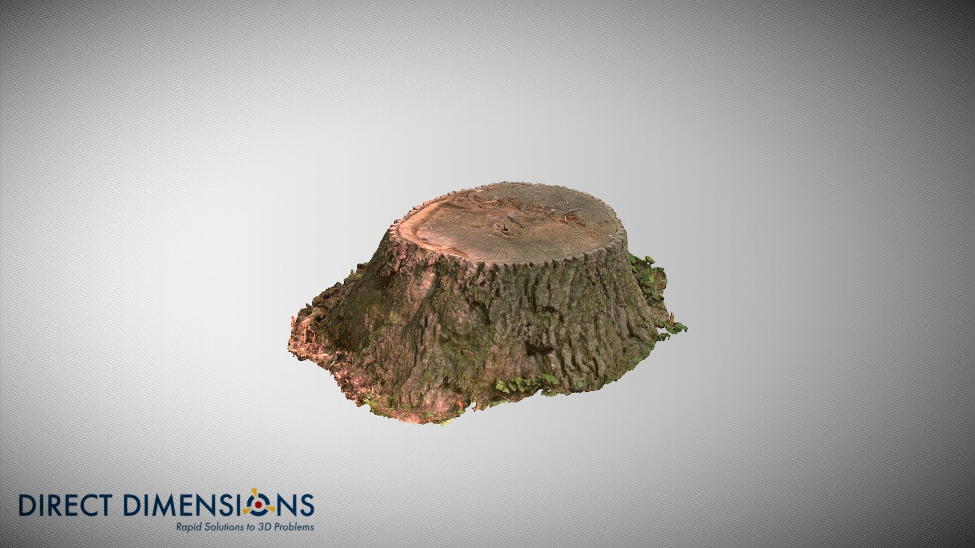 Stump Sample 3 - 3D model by Direct Dimensions (@dirdim) [595bfd4 ...