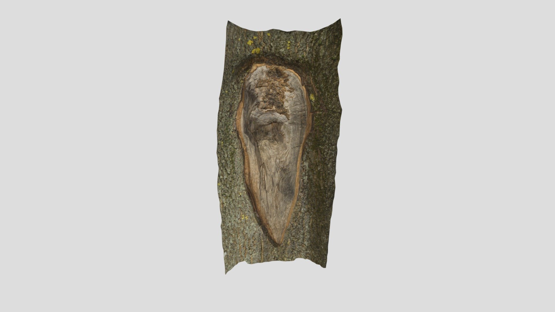 Trunk 56 AM255 Archmodel - Buy Royalty Free 3D model by Evermotion ...