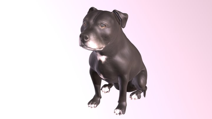 Staffie 3D models - Sketchfab