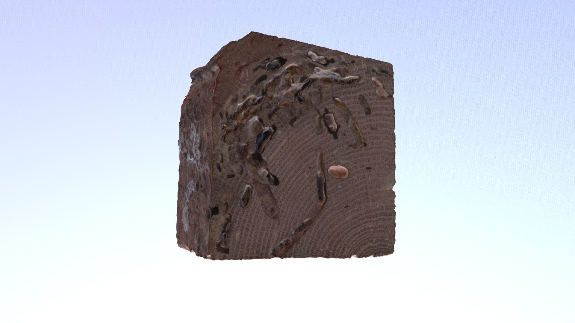 Wood Section3 - 3D model by Mickthedig (@MickthedigED) [597205f ...