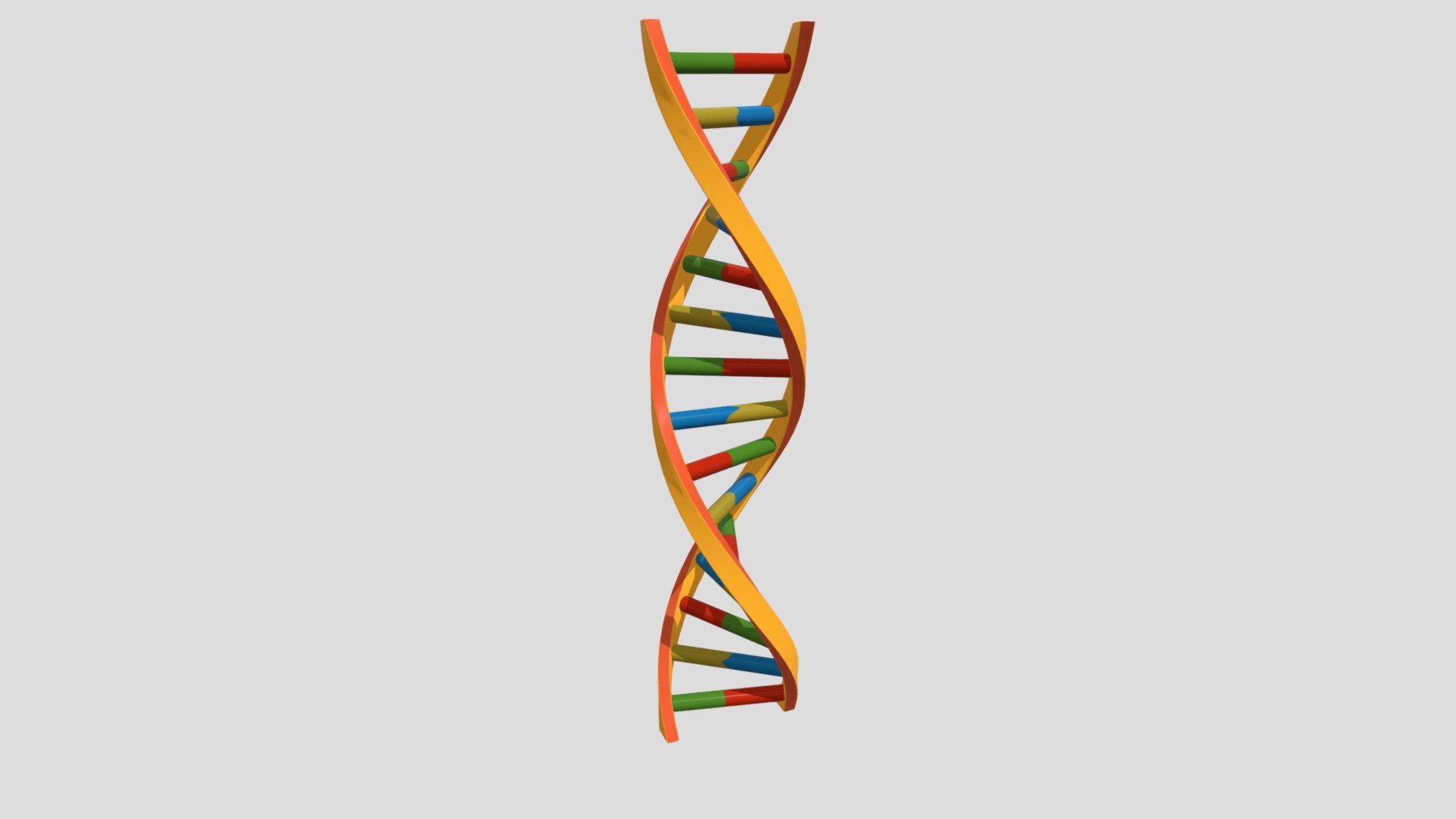 ADN - Download Free 3D model by usic [597252d] - Sketchfab