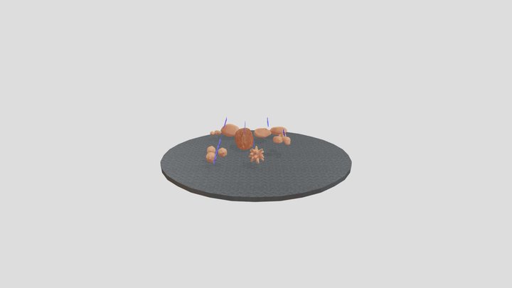 Veterinary-anatomy 3D models - Sketchfab