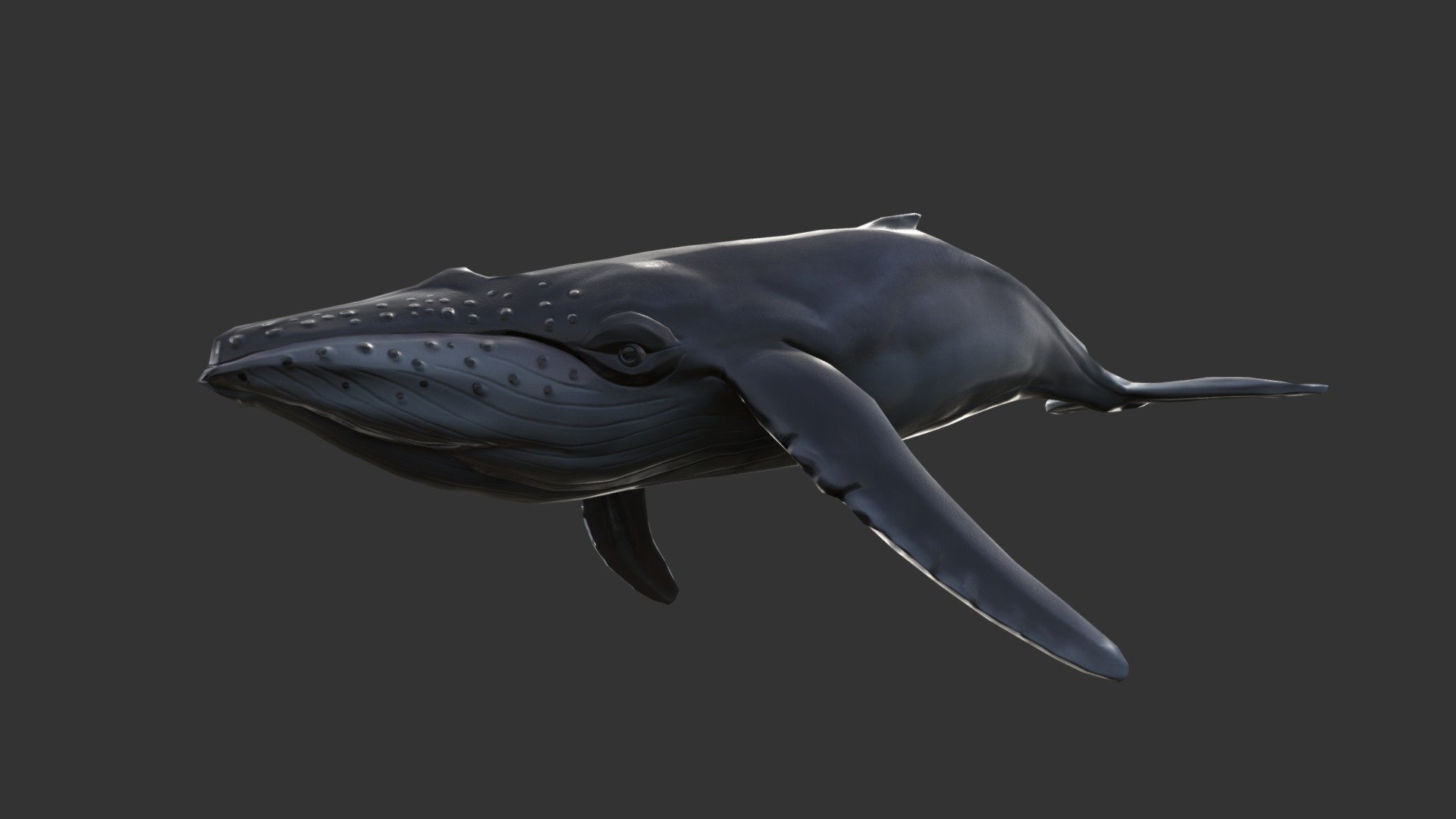 Whale - 3D model by JengyMonster [597bc8e] - Sketchfab