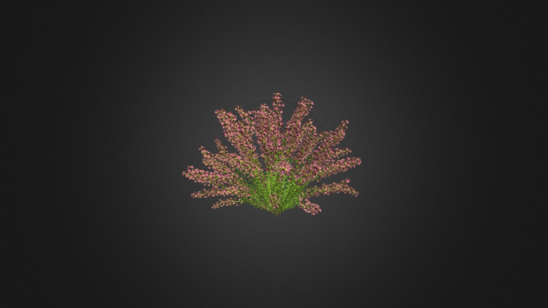 Heather 3D Model - Buy Royalty Free 3D model by cgaxis [597c639 ...