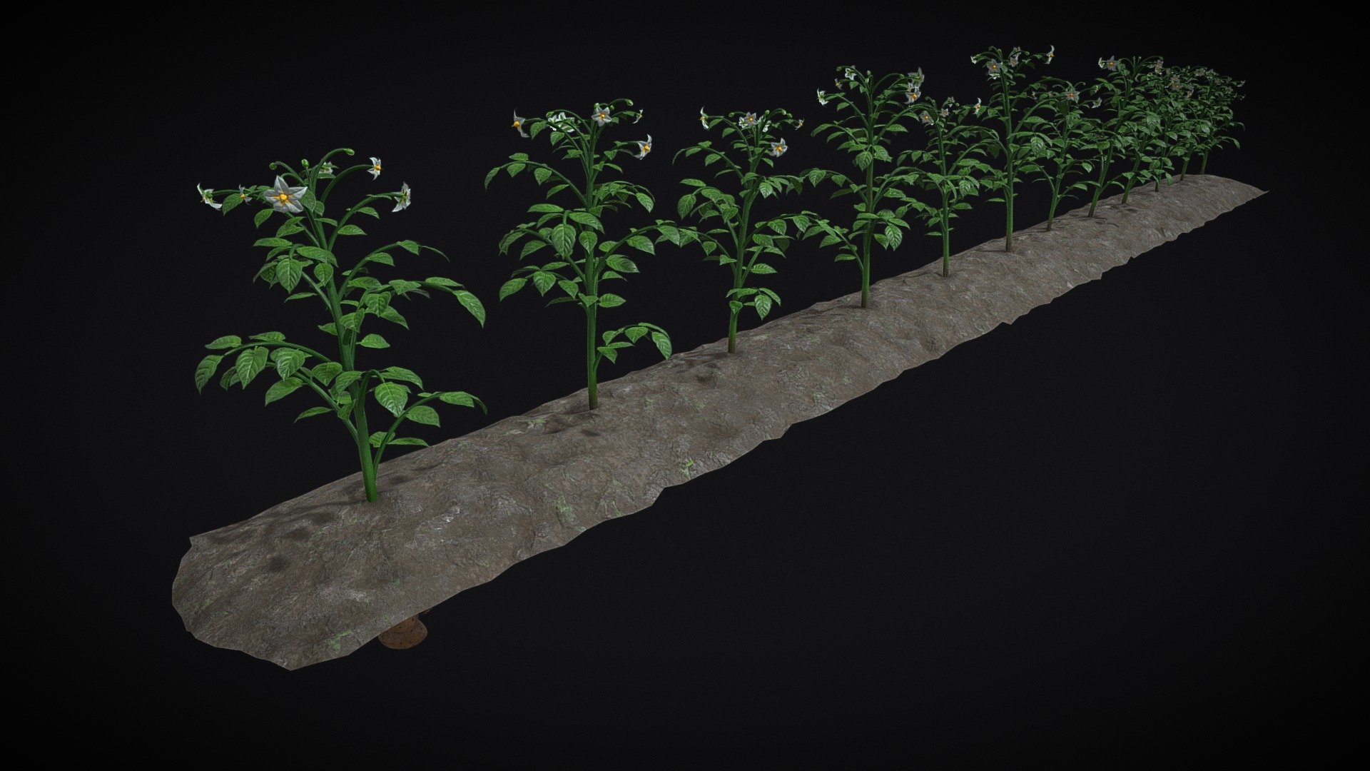 Crops Potatoes - Buy Royalty Free 3D model by GetDeadEntertainment ...